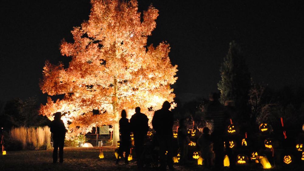 Pumpkin Festival slated for The Arboretum at Penn State from Oct. 13 to ...