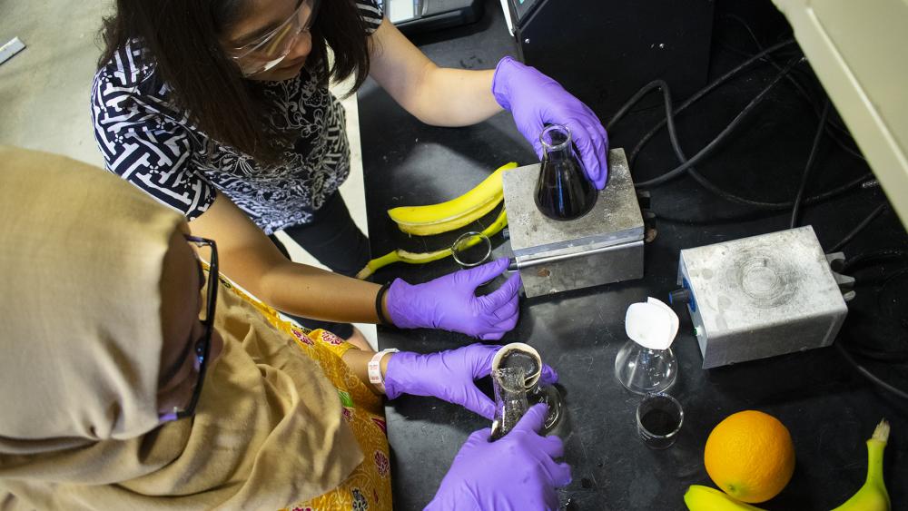 Penn State joins national initiative to support public impact research ...