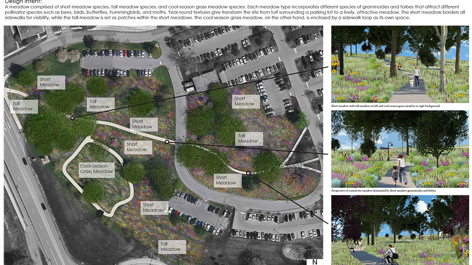 Landscape architecture students propose designs for planted meadow ...