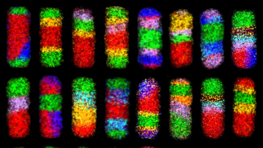 A megalibrary of nanoparticles | Penn State University