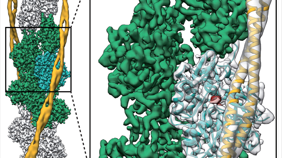 Super-cold microscope has super cool uses | Penn State University