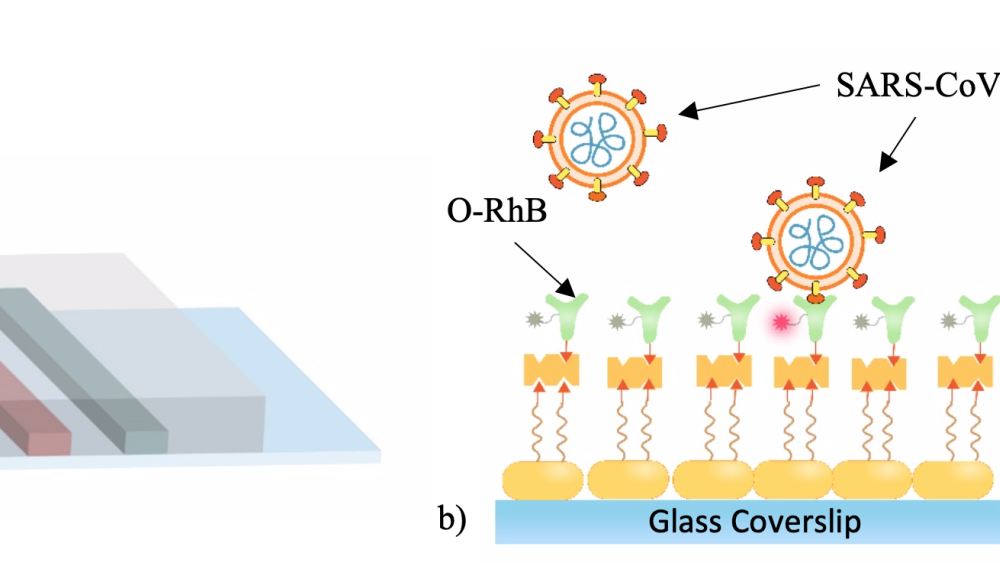 Cremer group developing sensors to detect coronavirus in enclosed ...