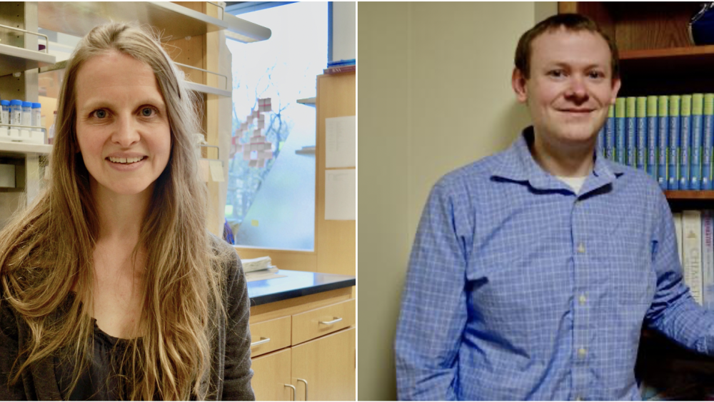 Boal and Garner receive 2020 C.I. Noll Award for Excellence in Teaching ...