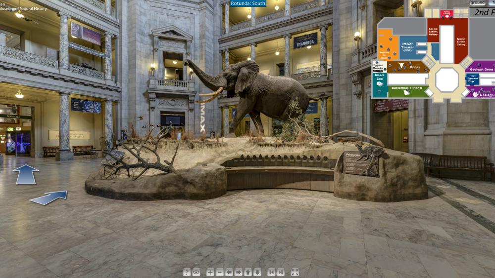 Choosing interactive tools for virtual museums mixes art and science ...