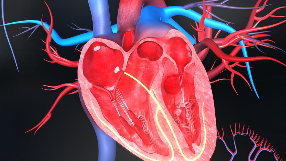 The Medical Minute: Minimally invasive treatments for structural heart ...