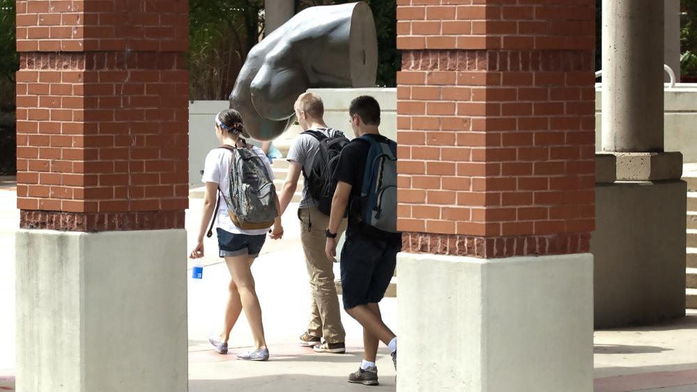 Task Force on Student Health Insurance releases report | Penn State ...