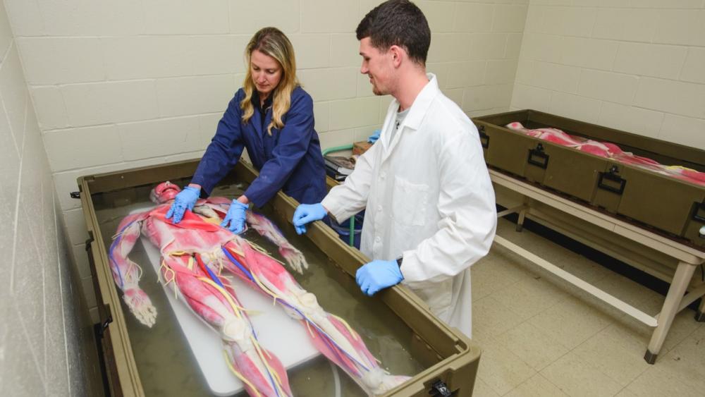 Male and female SynDavers provide students realistic hands-on ...