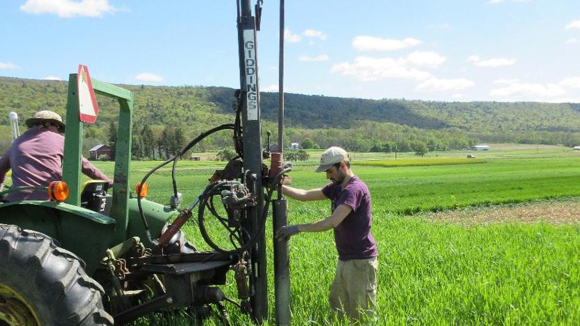 Cover crop roots are key to understanding ecosystem services | Penn ...