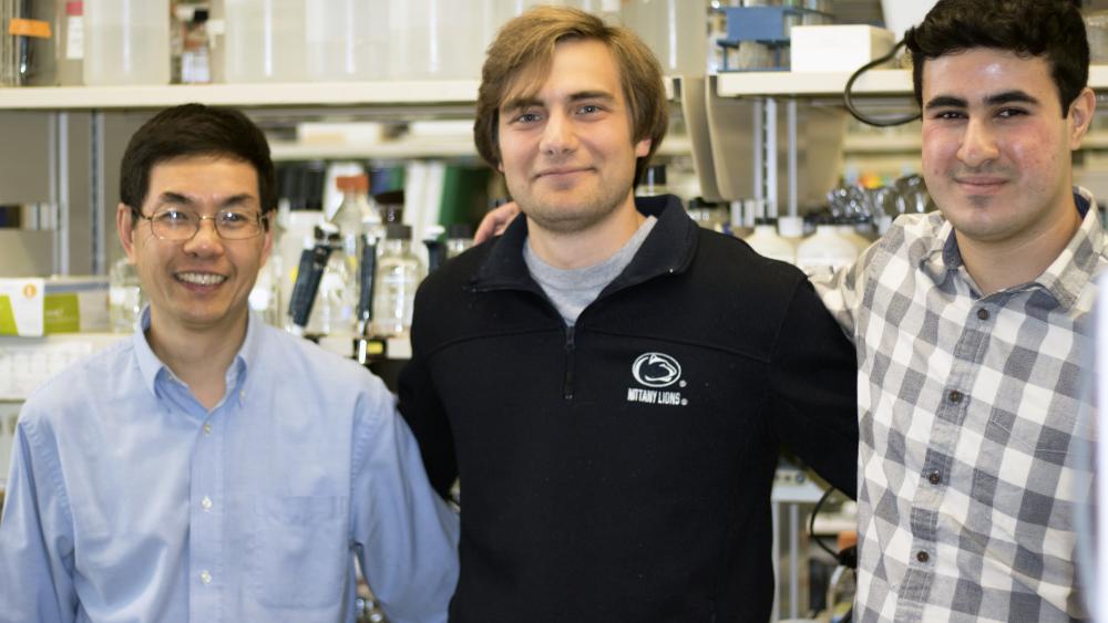 Climbing the ladder | Penn State University