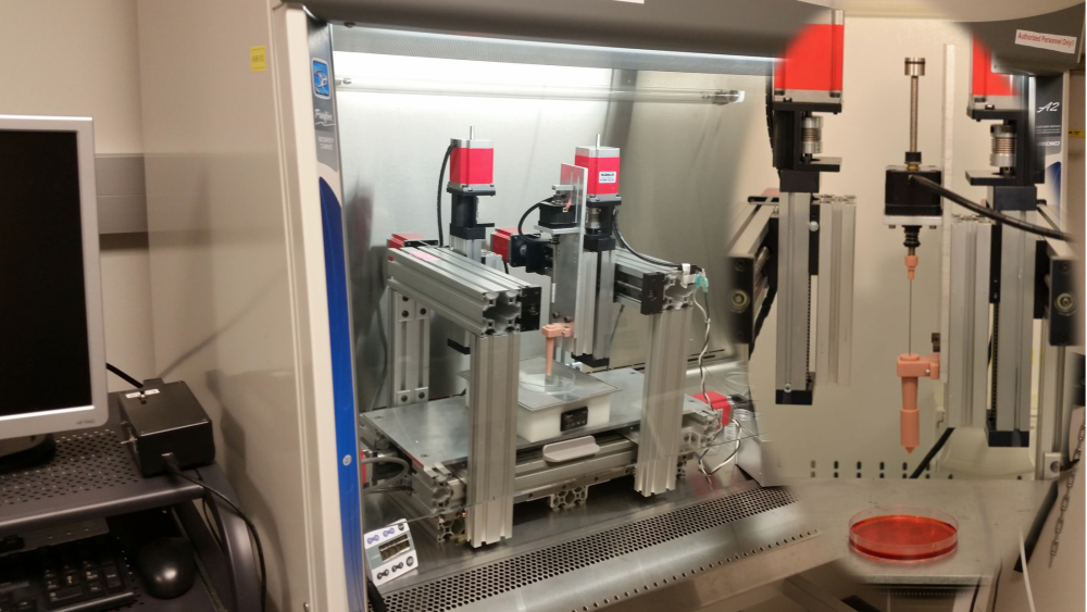 3D printing produces cartilage from strands of bioink | Penn State ...