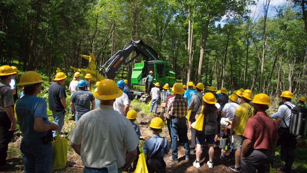 Timber 2019 expo spotlights Pennsylvania's forest-products industry ...