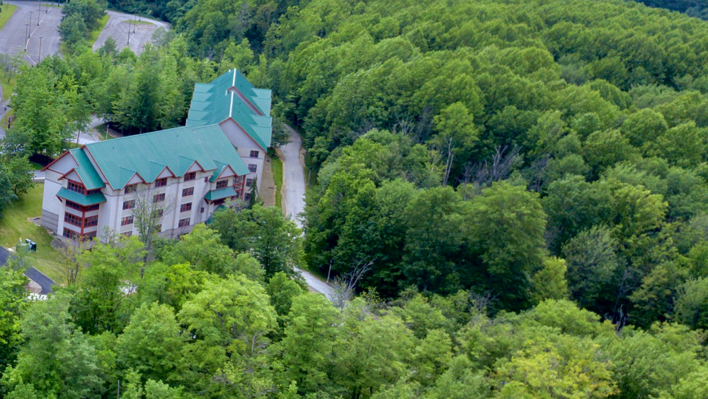 Forestry project to include removal of trees at Behrend and in ...