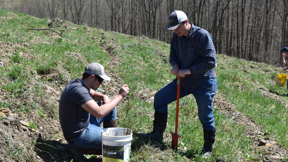 Penn State DuBois wildlife technology students help to reclaim PA ...