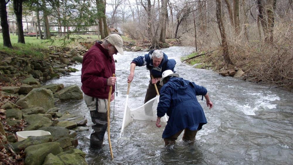 Citizen scientists may be an untapped resource for water quality ...
