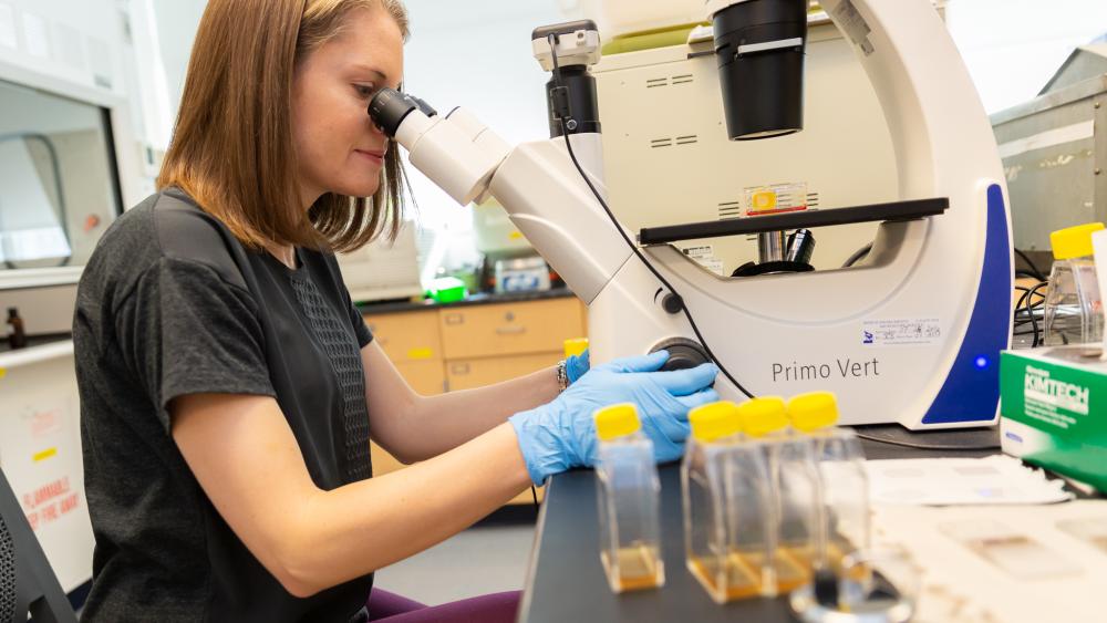 Brandywine professor explores behavior of parasites in their insect ...