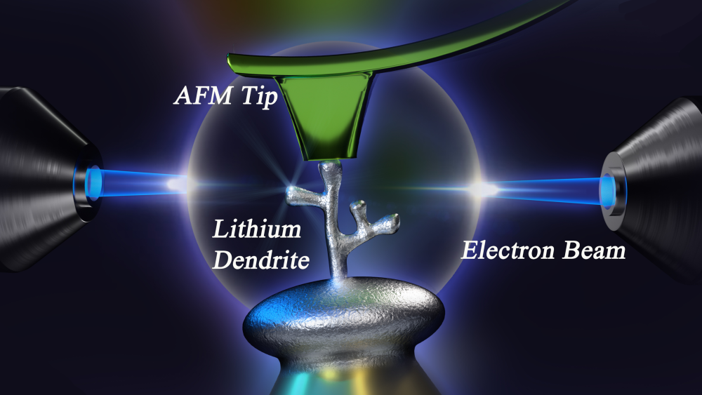 A new method to study lithium dendrites could lead to better, safer ...