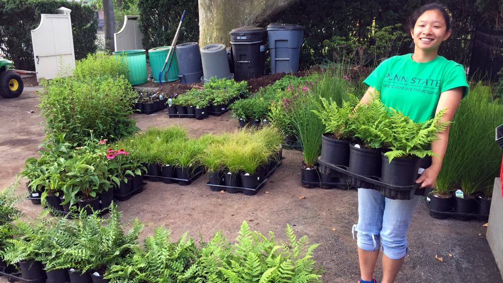 Landscape architecture student looking to revitalize the modern ...