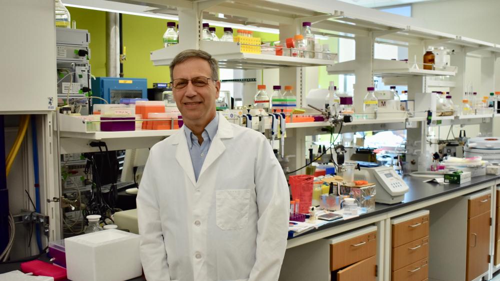 Chemical engineering professor receives American Chemical Society award ...