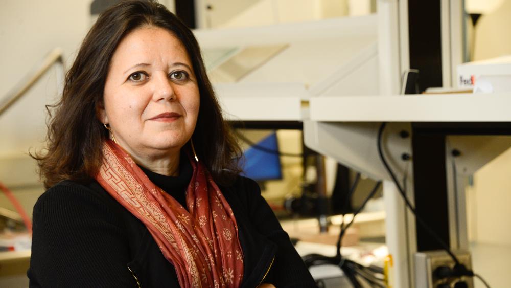 Mechanical engineering professor receives grant to explore soft smart ...