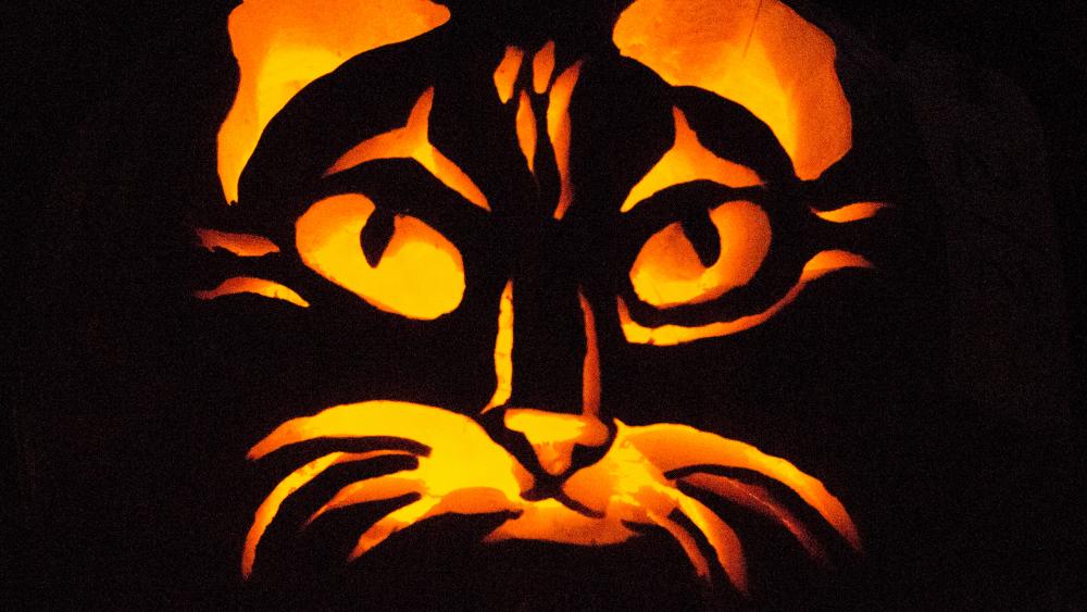 Things to Do at Penn State: Oct. 12-19 | Penn State University