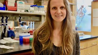 Boal recieves Early Career Award from Society of Biological Inorganic ...