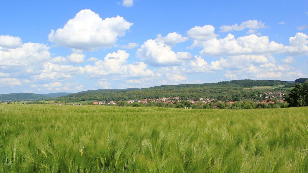 Registration open for Northeast Cover Crops Council Conference at Penn ...
