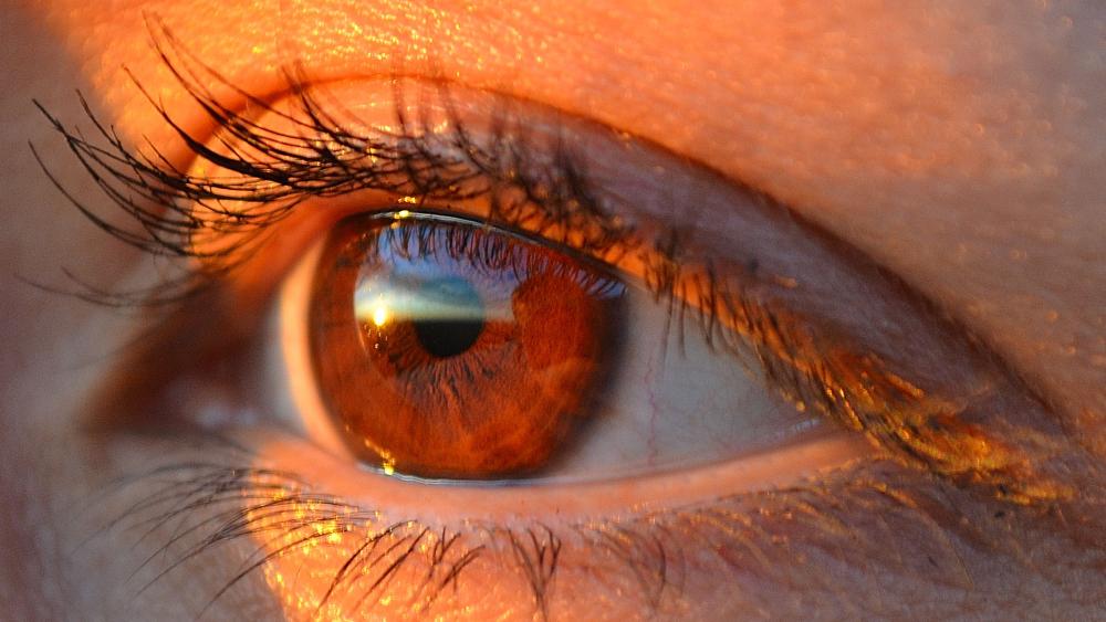 Shopping through the lens of IT | Penn State University