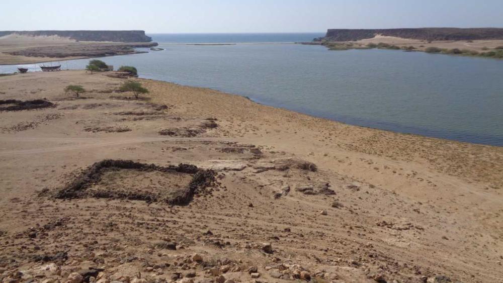 Study: Earth's ecosystems face 'major transformation' from climate ...