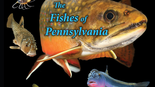 It took decades to publish, but landmark Pa. fishes book worth the wait ...