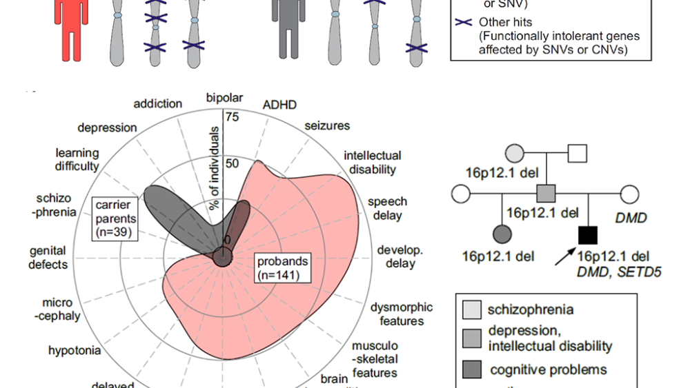 Family genetics vital for understanding autism progression | Penn State ...