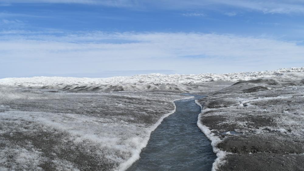Ocean color satellites reveal glacier algae, insights for climate ...