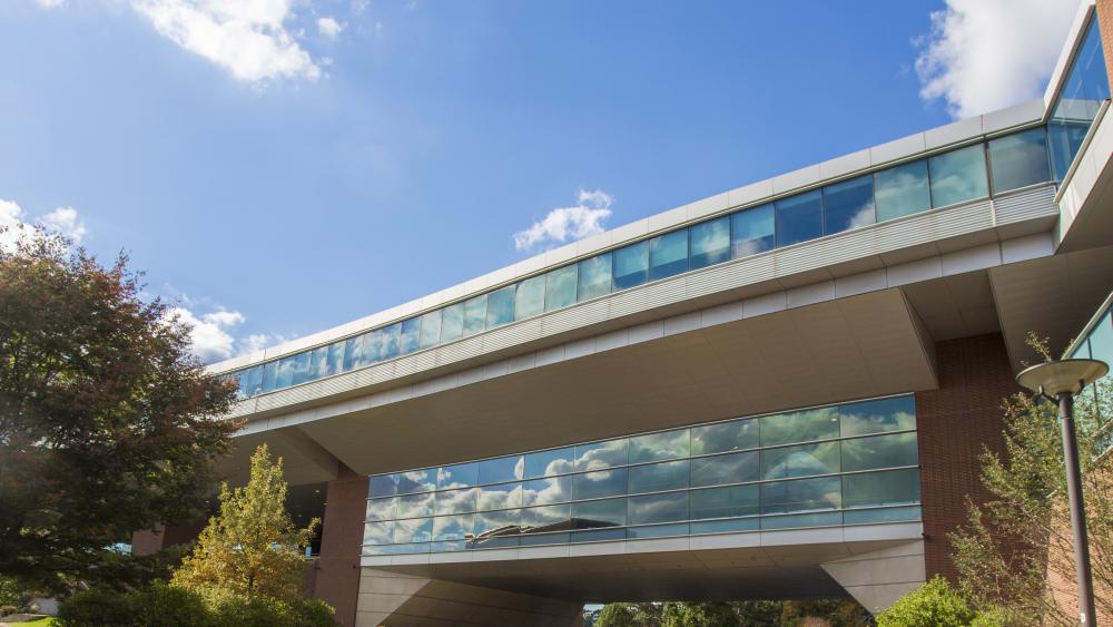 IST instructor keeps students engaged remotely with interpretive ...