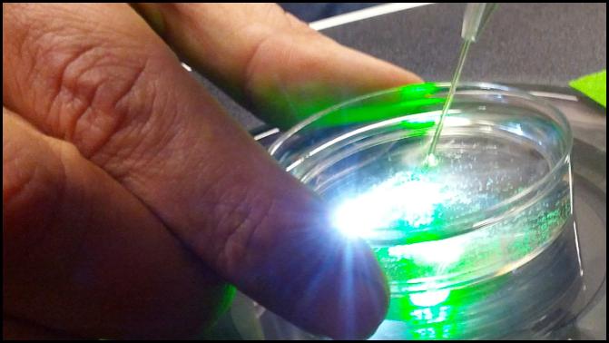 Human heart beats using nearly billion-year-old molecular mechanism ...