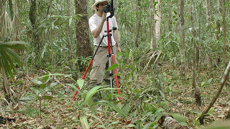 Technology reveals ancient cultural secrets from beneath the jungle ...