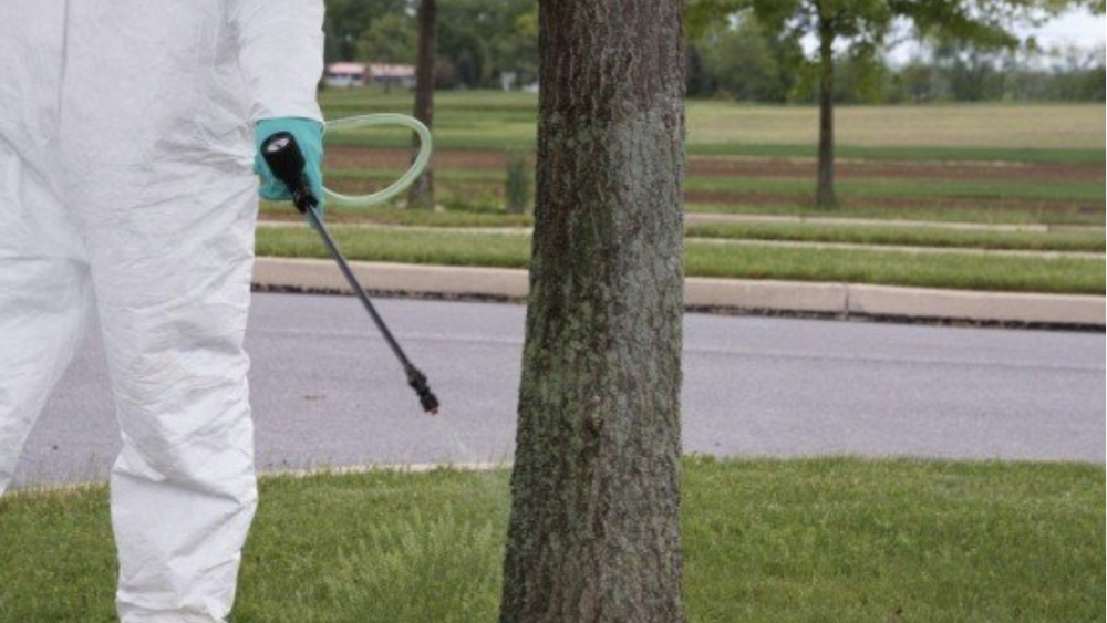 Extension offers help to pesticide-application industry during pandemic ...