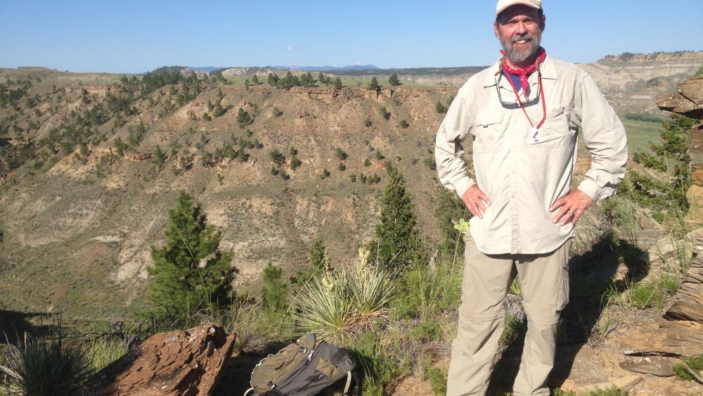 Fossils' surroundings shed light on extinction and environmental ...