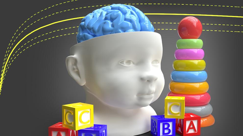 Normal brain growth curves for children developed | Penn State University