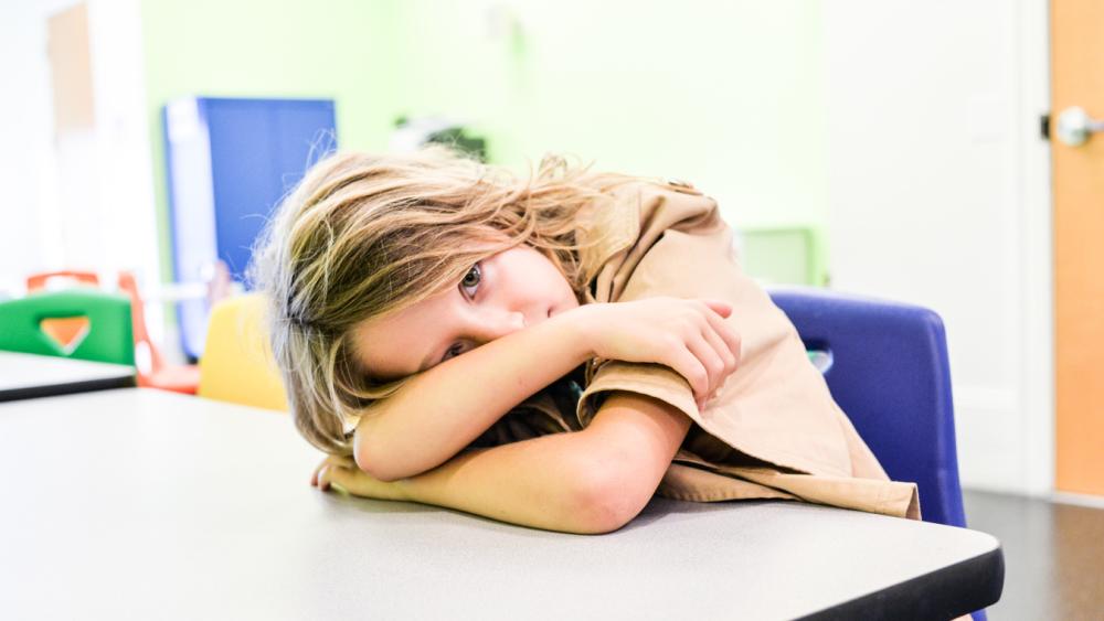 Physical abuse and punishment impact children’s academic performance ...