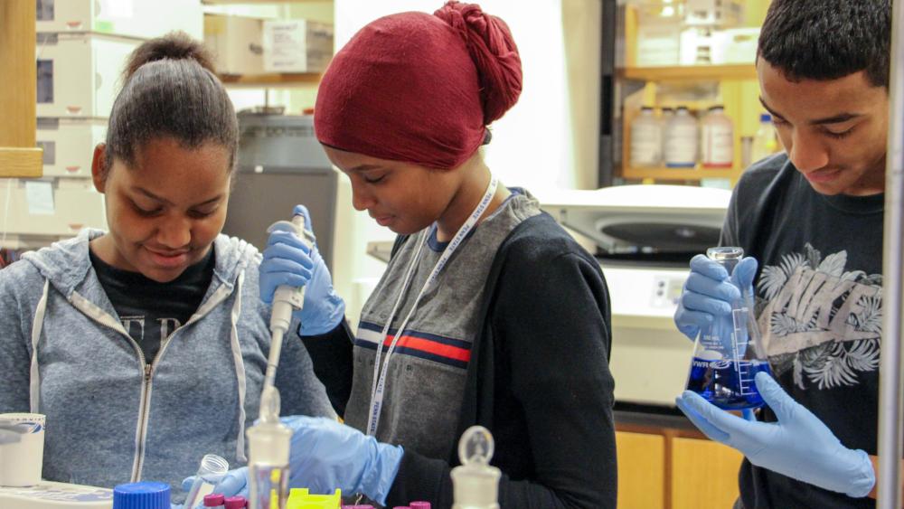 Upward Bound Math and Science students complete summer chocolate ...
