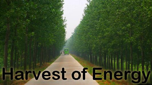 Harvest of Energy | Penn State University