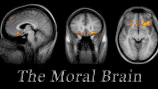 The Moral Brain | Penn State University