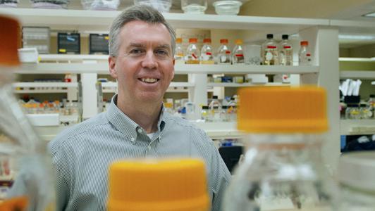 Engineering Biofilms | Penn State University