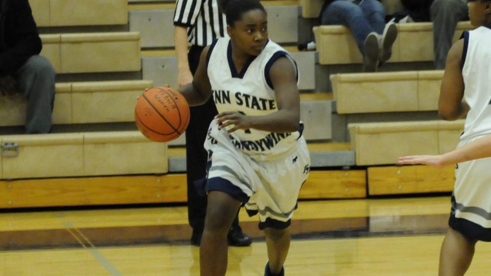 Brandywine announces 2020-21 athletics hall of fame inductees | Penn ...