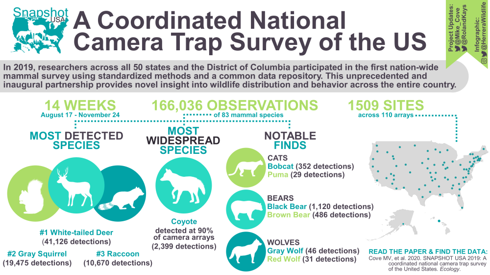 Snapshot USA: First-ever nationwide mammal survey now published | Penn ...