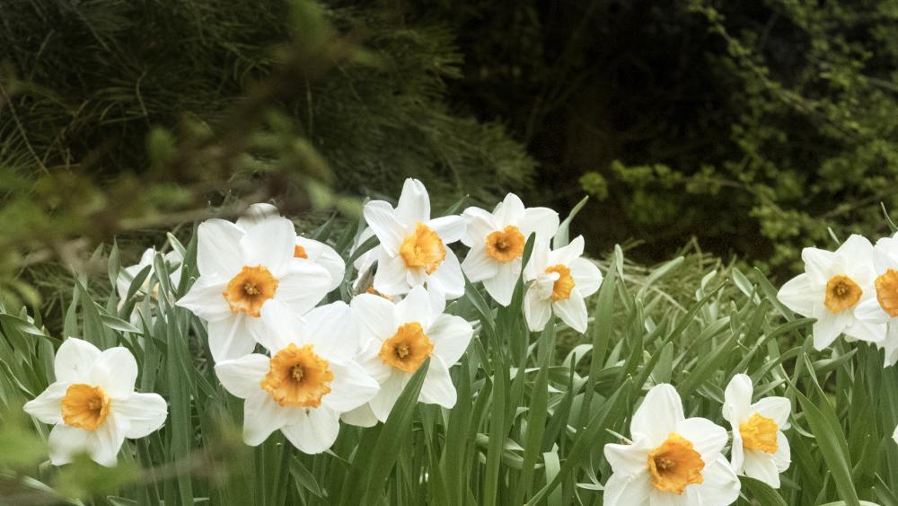 DEIB update for Penn State community planned for April 20 | Penn State ...