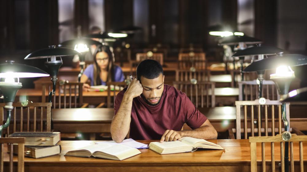 Sorry, Einstein: Hard workers may make better role models than geniuses ...