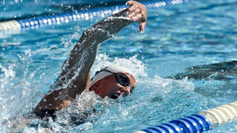Swimming and diving teams named Scholar All-America | Penn State University