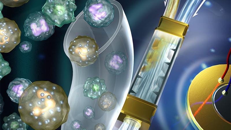 On-Chip Processor: First Step in Point-of-Care Asthma &Tuberculosis ...