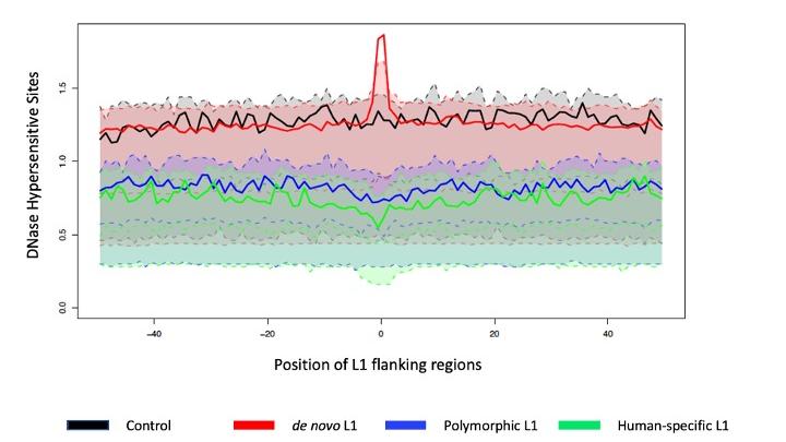 Scientists take a step toward understanding 'jumping genes' effect on ...