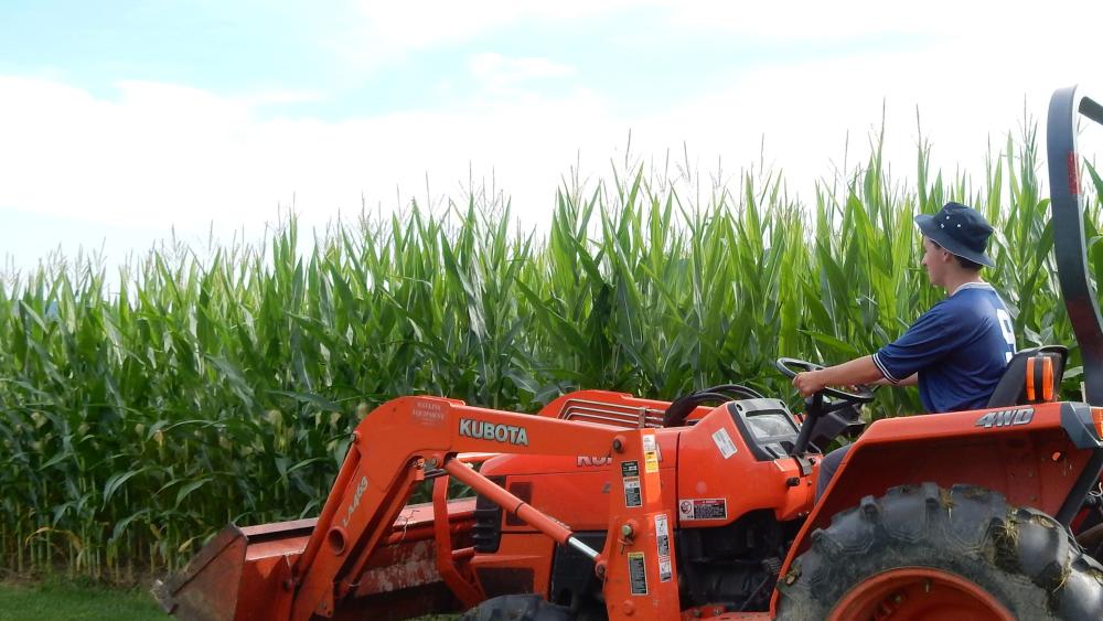 Study reveals agriculture-related injuries more numerous than ...